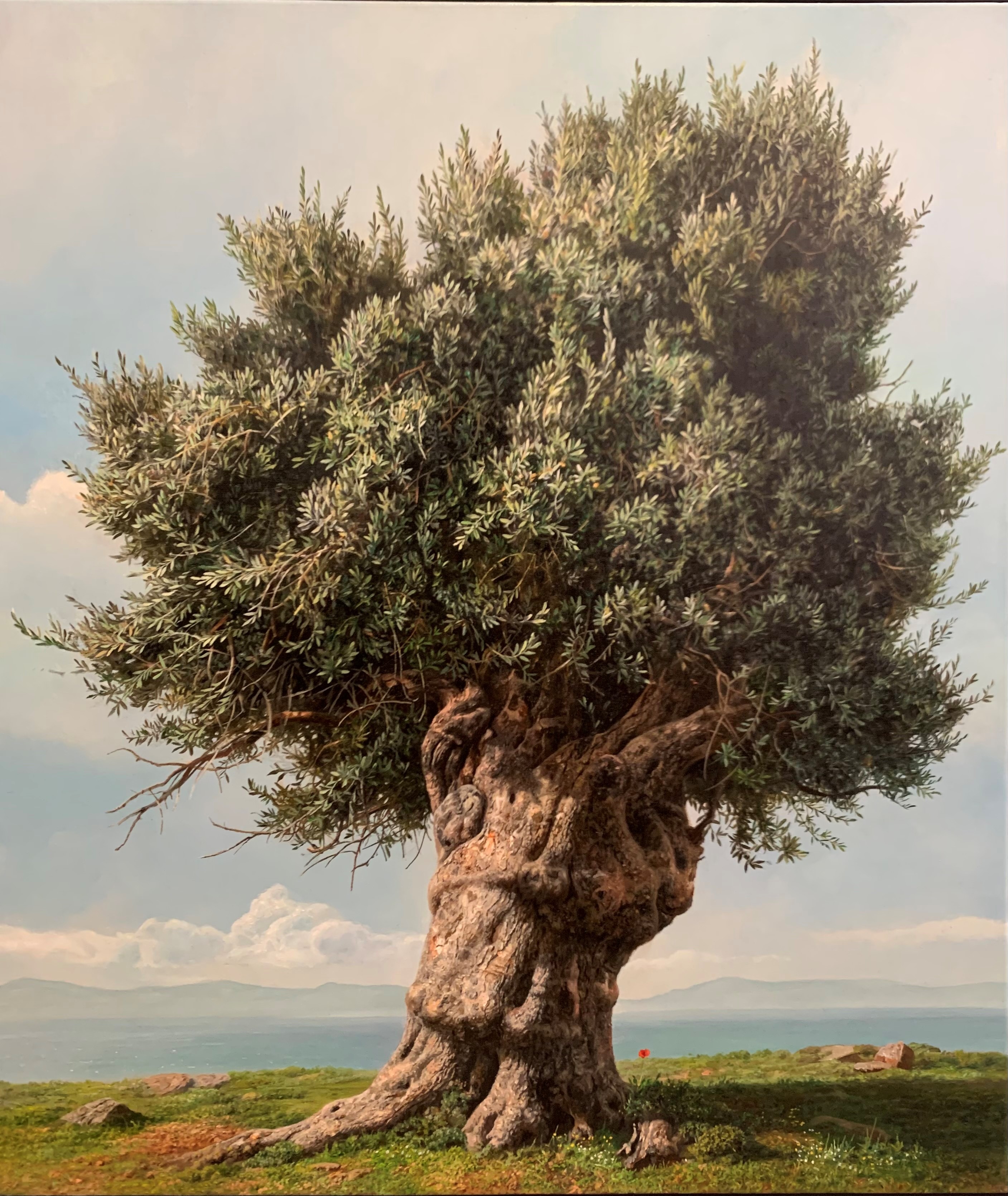 The beauty of life, Elidon Hoxha | Exhibitions · MEAM, European Museum ...