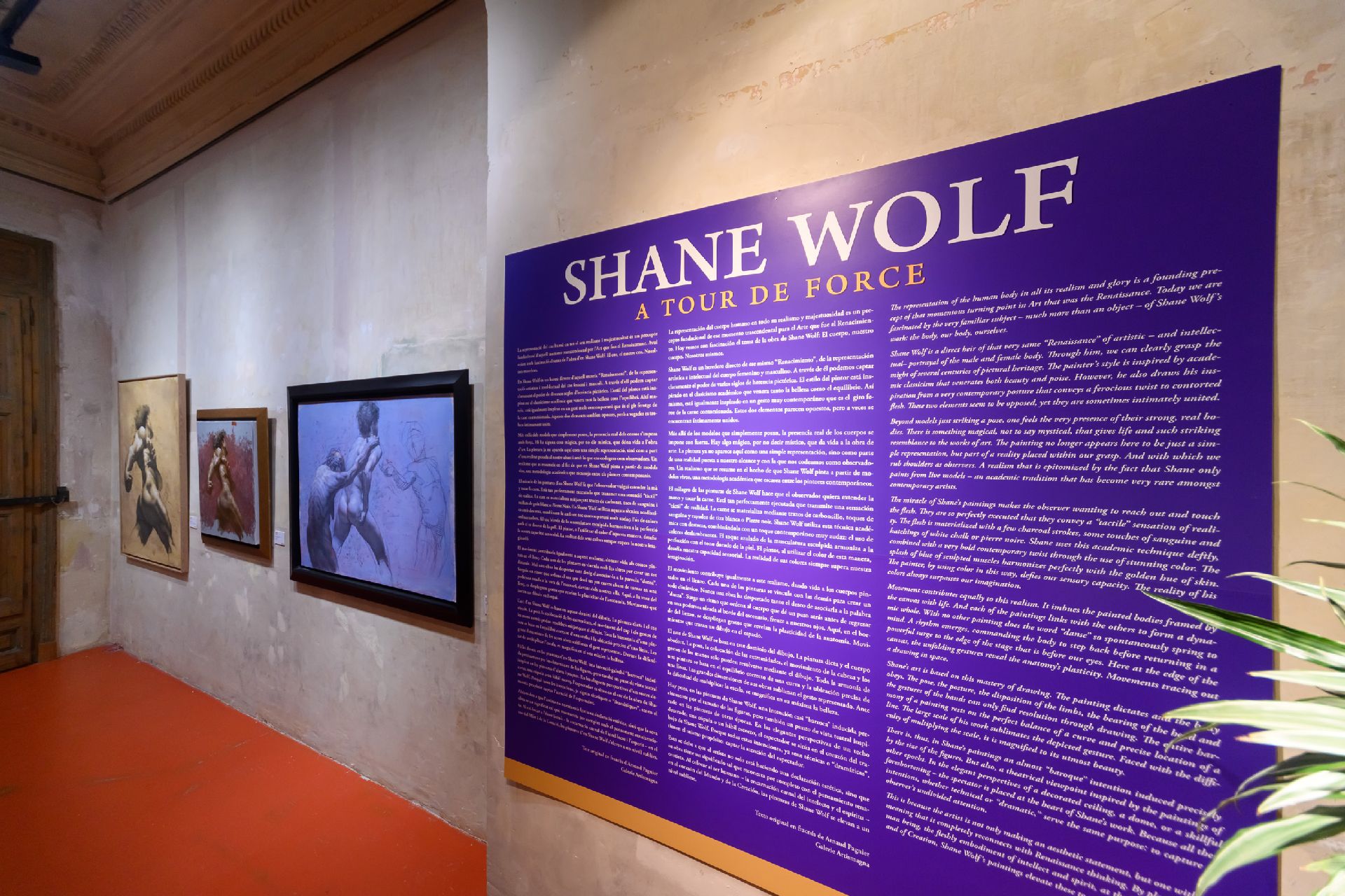 A Tour De Force Shane Wolf Exhibitions MEAM European Museum Of 